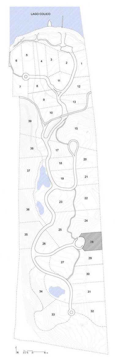 Forest House | Triangular - ArchiDiaries