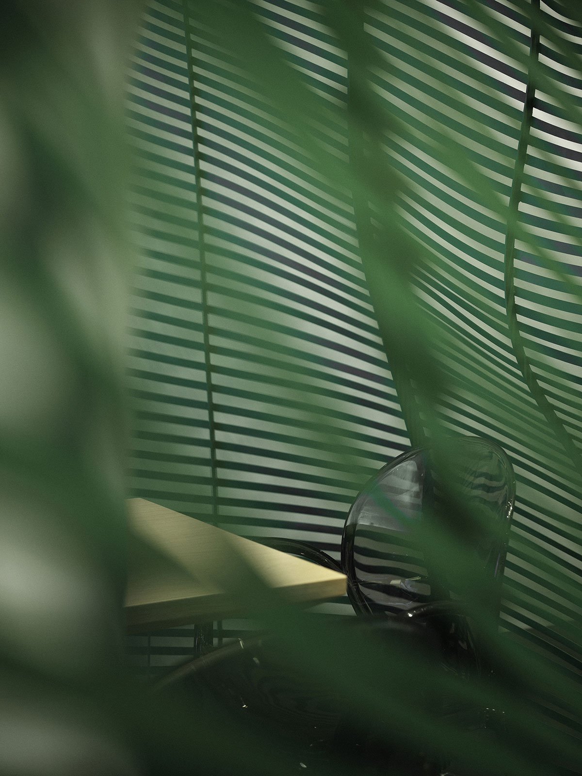 Jin Tea | Aurora Design - ArchiDiaries