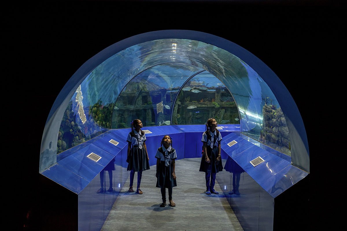 Aquatic Gallery | INI Design Studio - ArchiDiaries