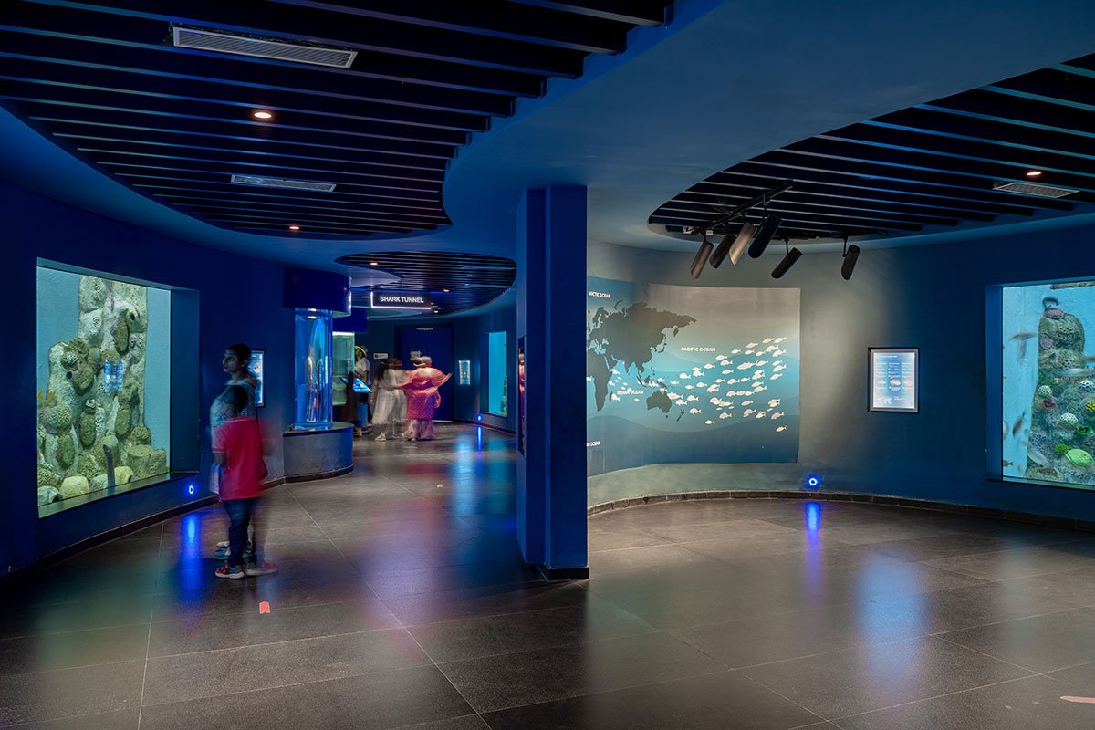 Aquatic Gallery | INI Design Studio - ArchiDiaries