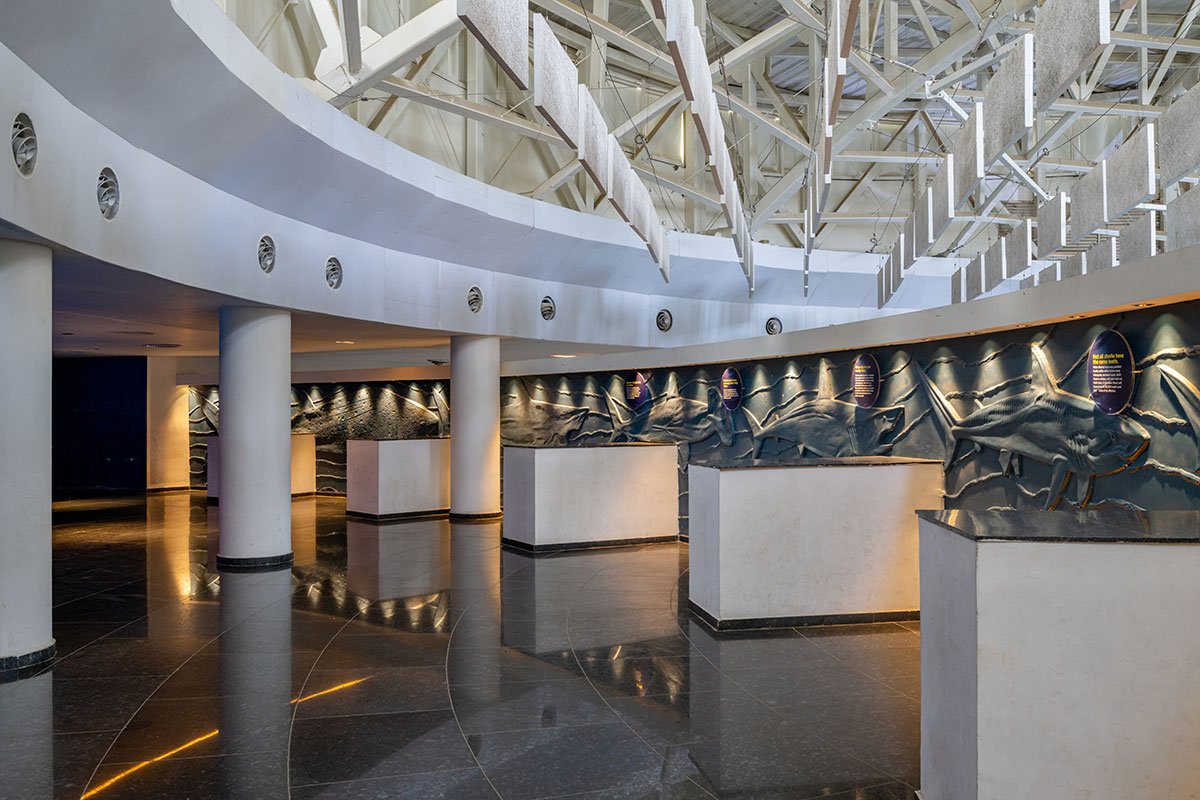 Aquatic Gallery | INI Design Studio - ArchiDiaries